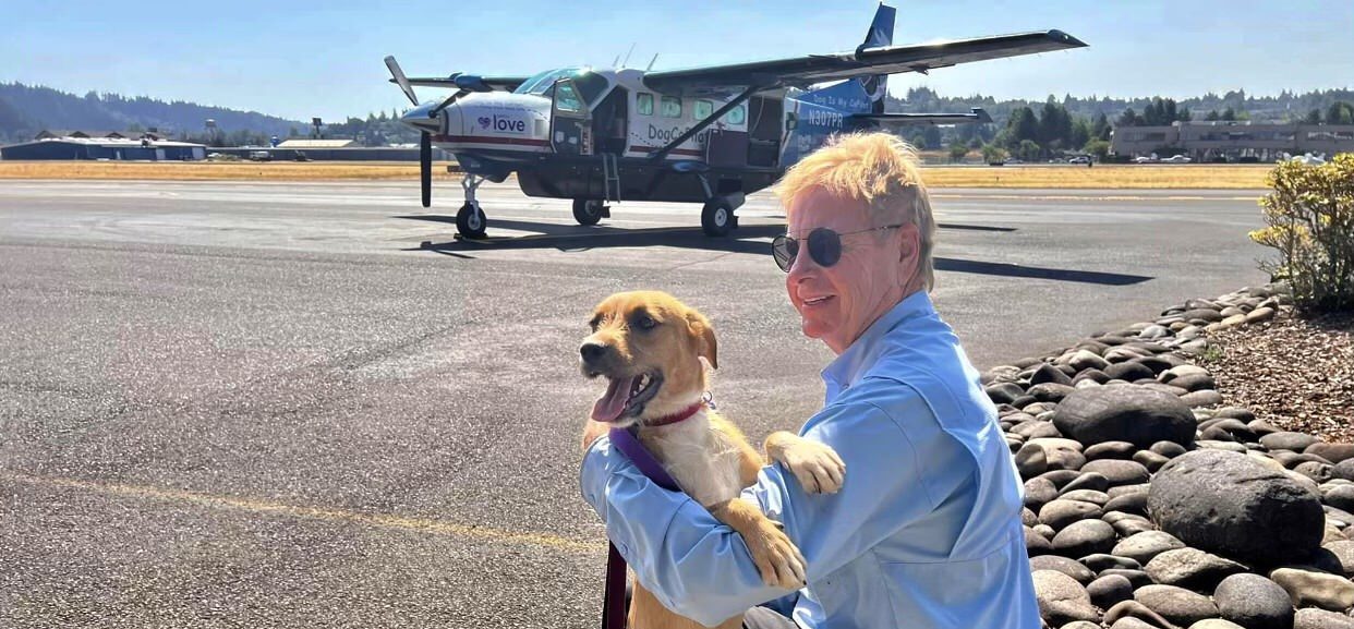 Animal Rescue Is Dr. Peter Rork's Second Act - Second Act Stories