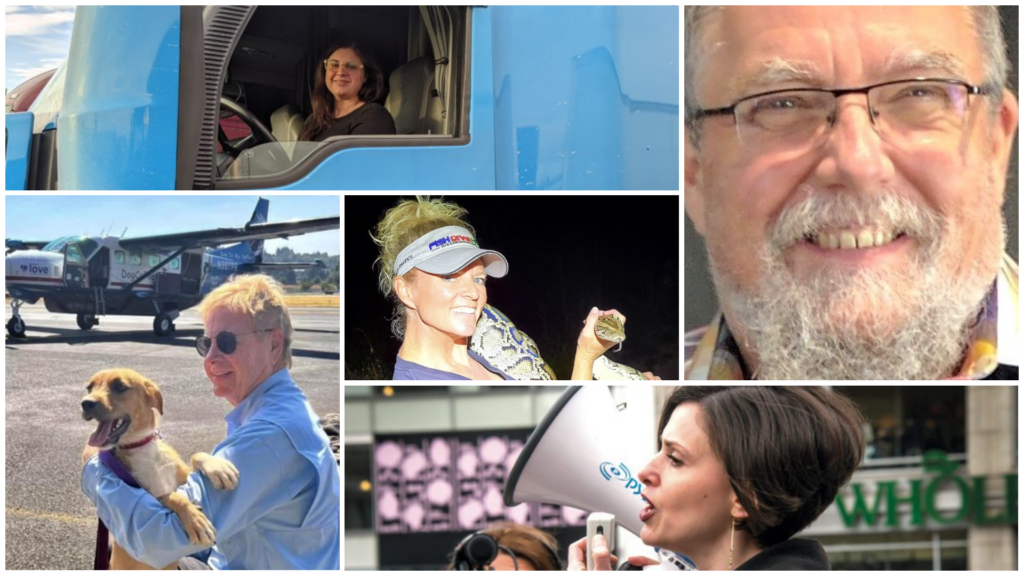 Unbelievable All-Stars: Amy Siewe - Second Act Stories